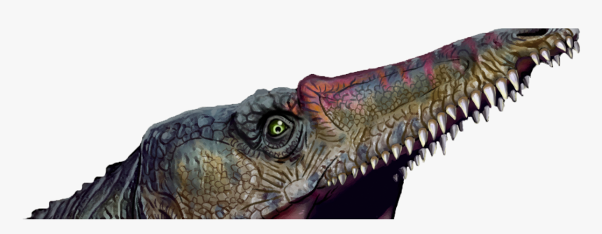 Lesothosaurus, HD Png Download , Transparent Png Image - PNGitem