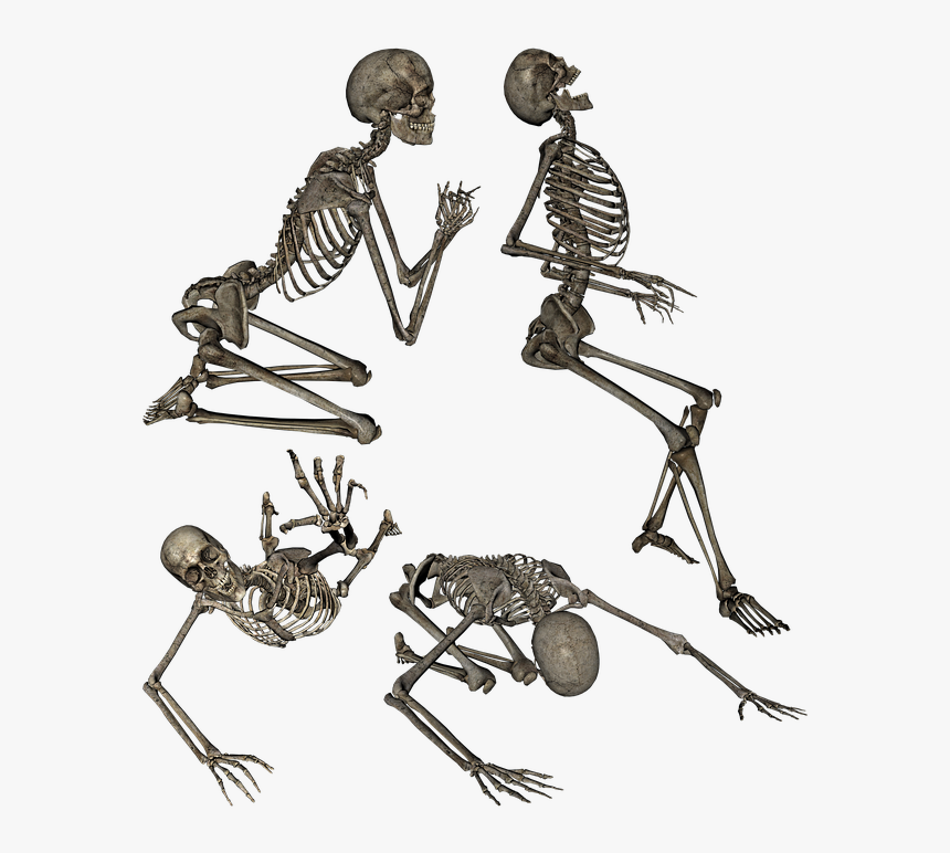 Skeleton Meme Transparent, HD Png Download , Transparent Png Image ...