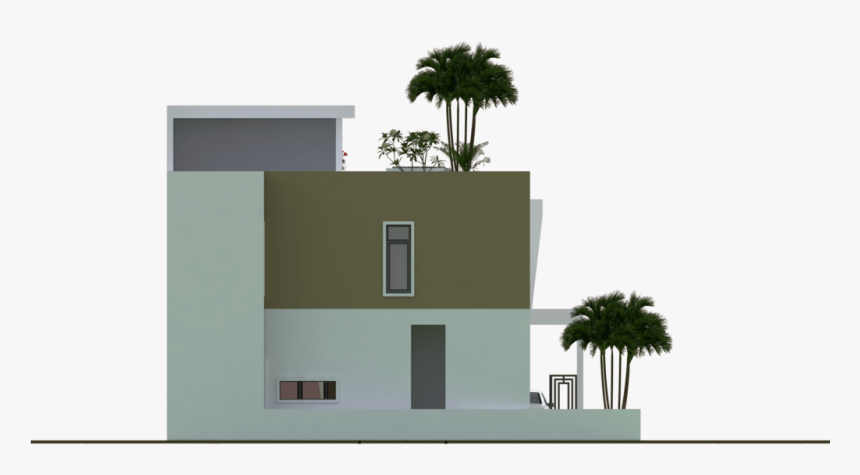 Transparent Palm Tree Plan Png - Architecture, Png Download ...