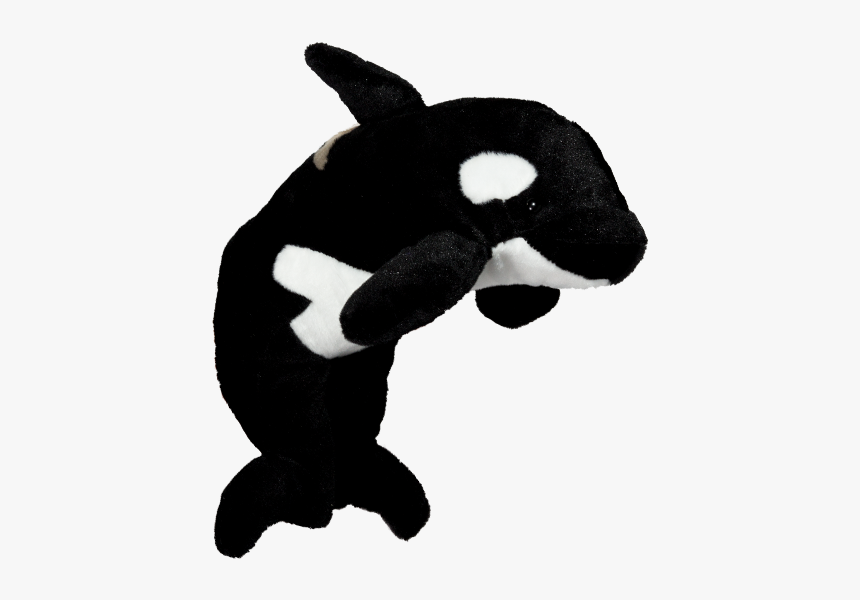 Killer Whale, HD Png Download , Transparent Png Image - PNGitem