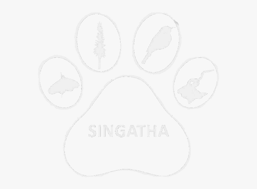 Transparent Leopard Spots Png - Illustration, Png Download ...