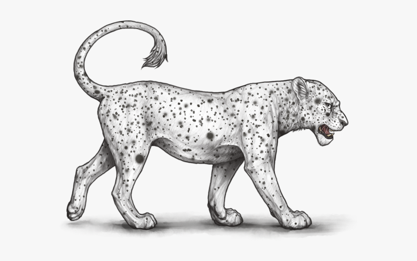 Transparent Lion Base, HD Png Download , Transparent Png Image - PNGitem