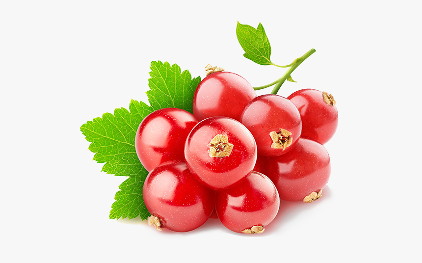 Red Currant Png, Transparent Png , Transparent Png Image - PNGitem