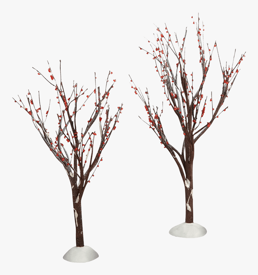 Winter Berry Trees - Twig, HD Png Download , Transparent Png Image ...