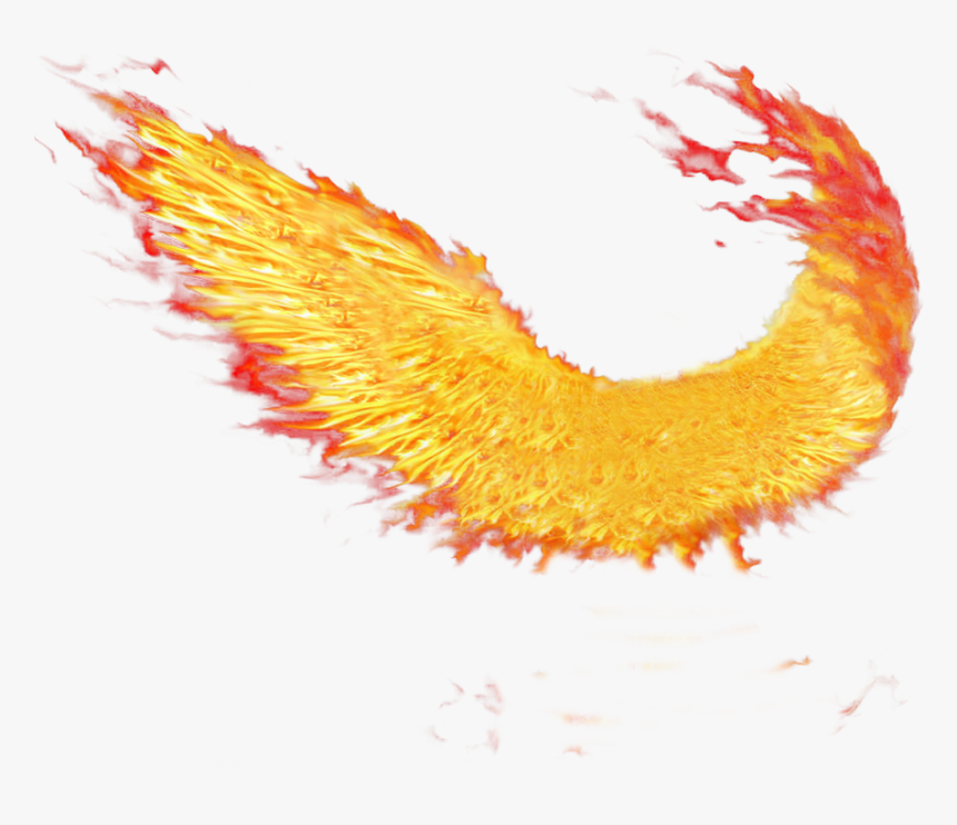 Thumb Image - Fire Wings Transparent Background, HD Png Download ...