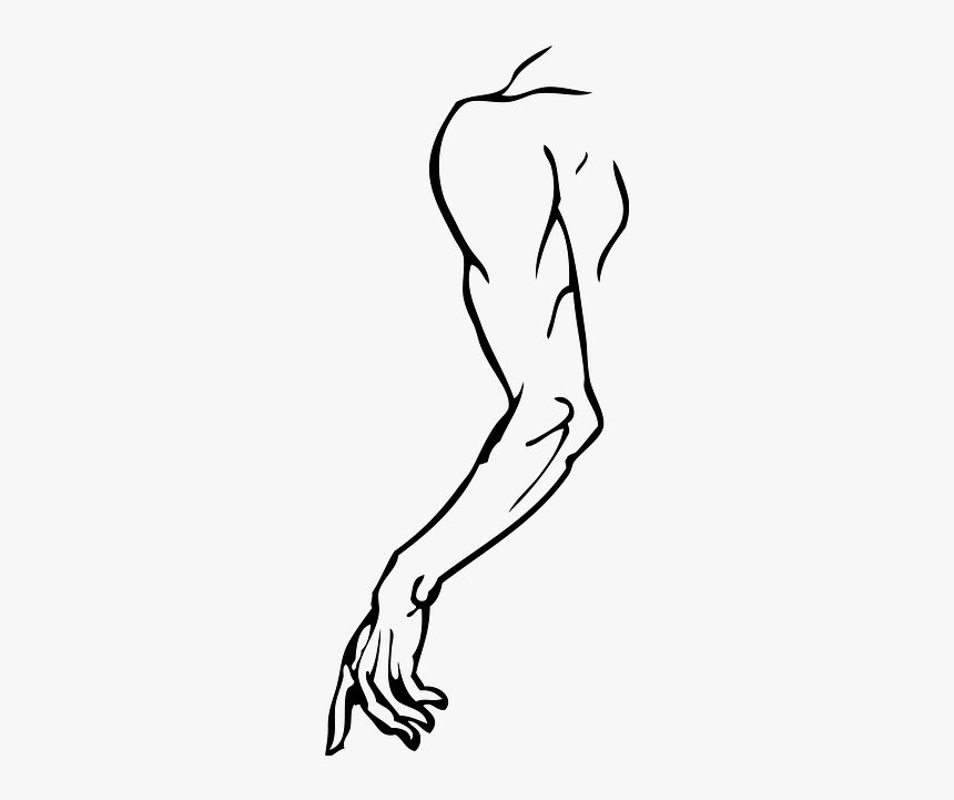 Human Silhouette At Getdrawings - Human Body Left Hand, HD Png Download ...