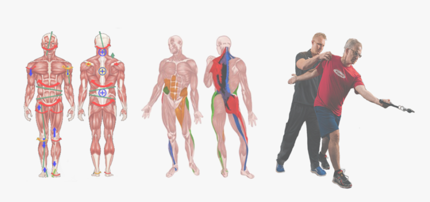 Oka 2 - Male, HD Png Download , Transparent Png Image - PNGitem