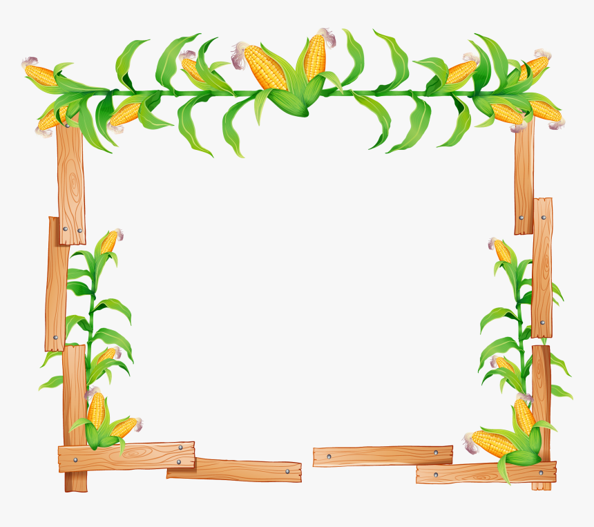 Candy Corn Maize Illustration - Corn Stalk Corn Border, HD Png Download ...