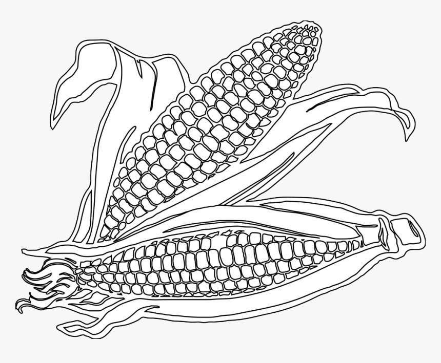 Transparent Corn Stalks Png - Corn Picture Black And White, Png ...