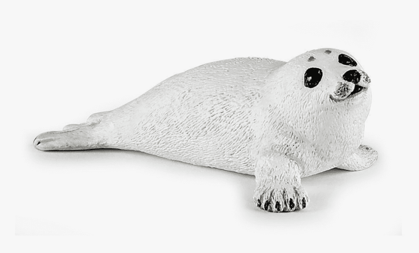 Baby Seal Png, Transparent Png , Transparent Png Image - PNGitem
