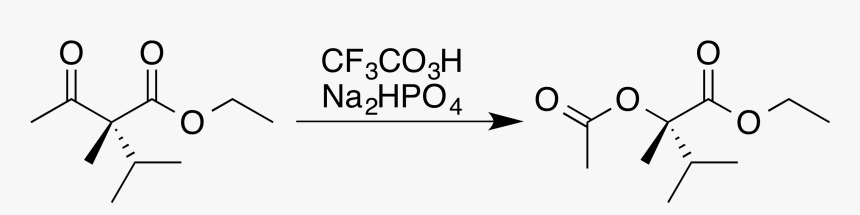 Bv Regiochemical And Stereochemical Effects - Circle, HD Png Download ...