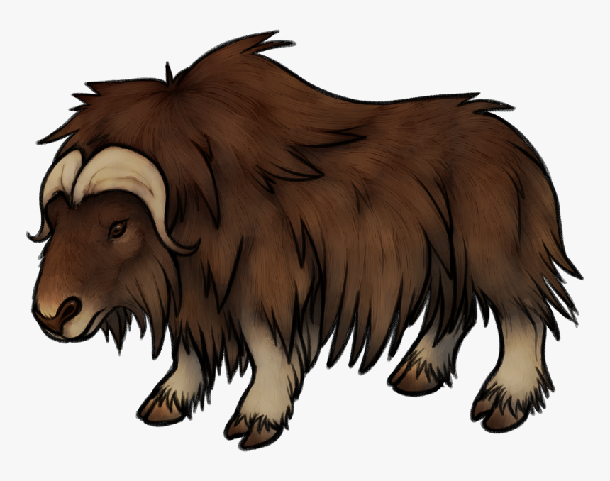 Transparent Yak Png - Musk Oxen Transparent Background, Png Download ...