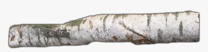 Png Large Wooden Branch, Transparent Png , Transparent Png Image - PNGitem