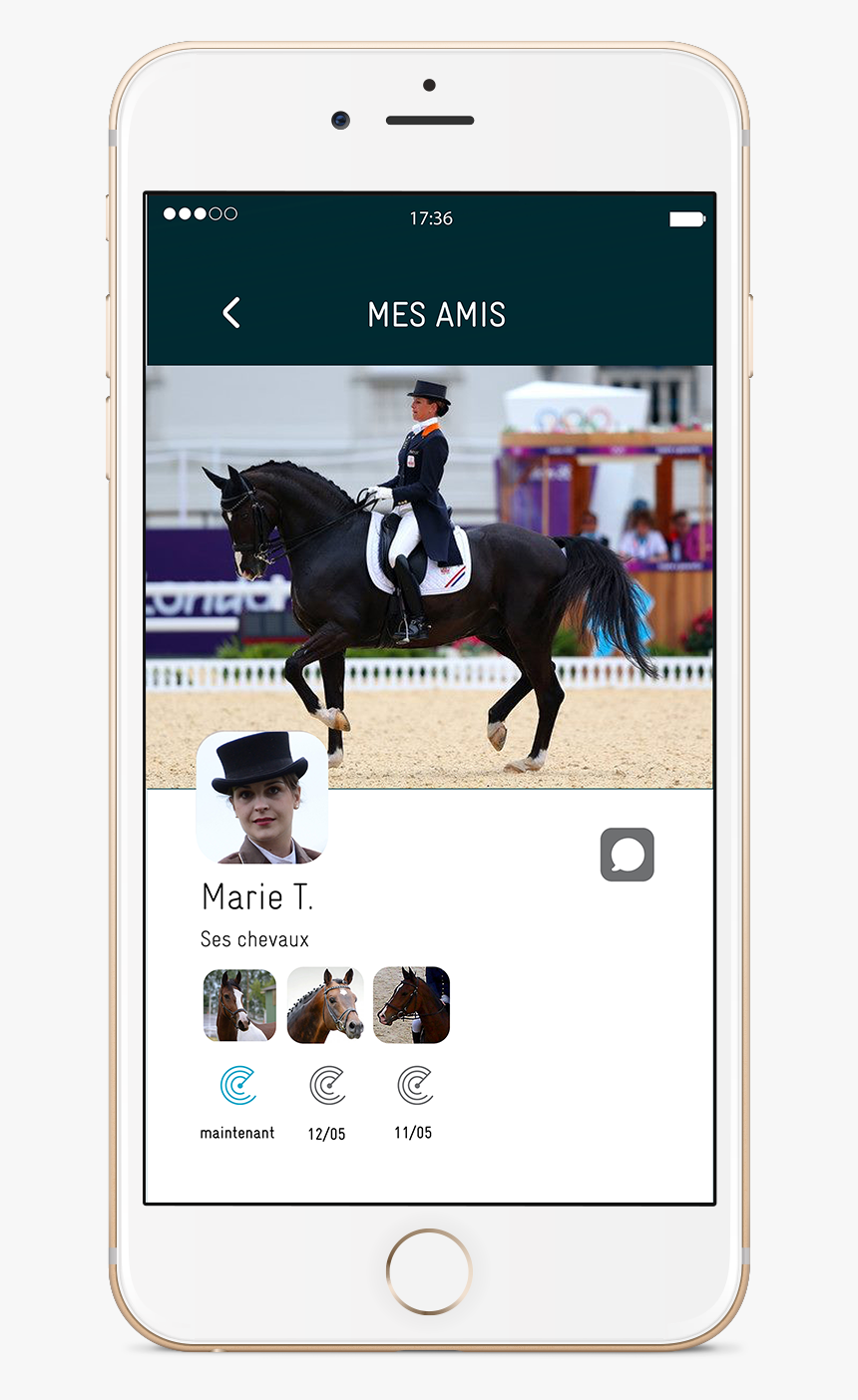 Stallion, HD Png Download , Transparent Png Image - PNGitem