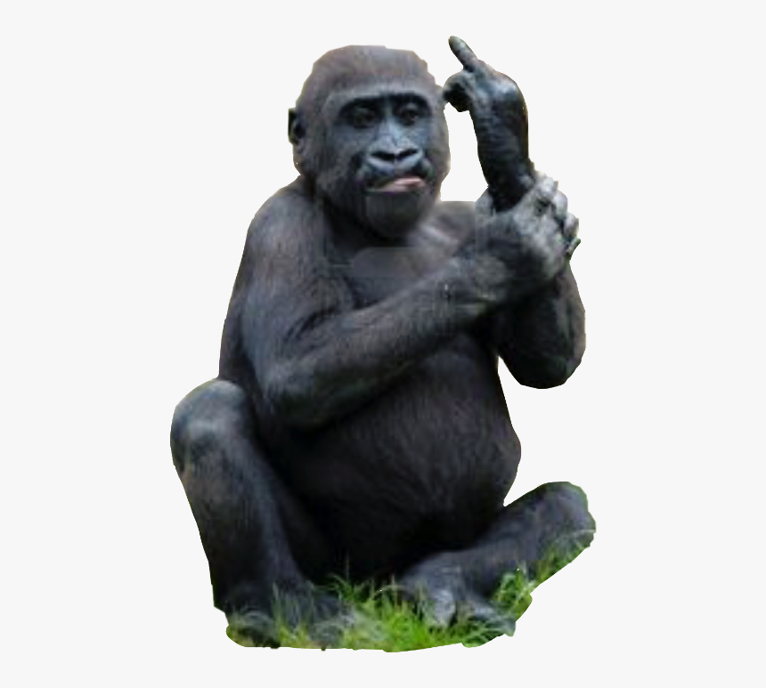 Flippin Bird, HD Png Download , Transparent Png Image - PNGitem