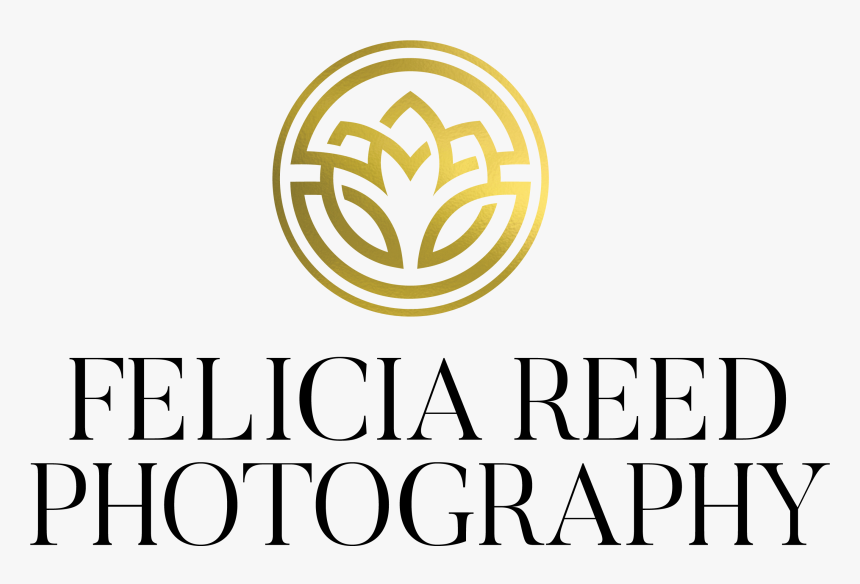 Felicia Reed Photography Contemporary Beauty Portrait - Felicia Reed ...