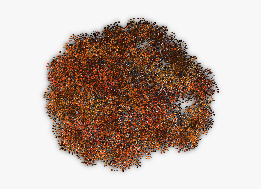 Berbere, HD Png Download , Transparent Png Image - PNGitem