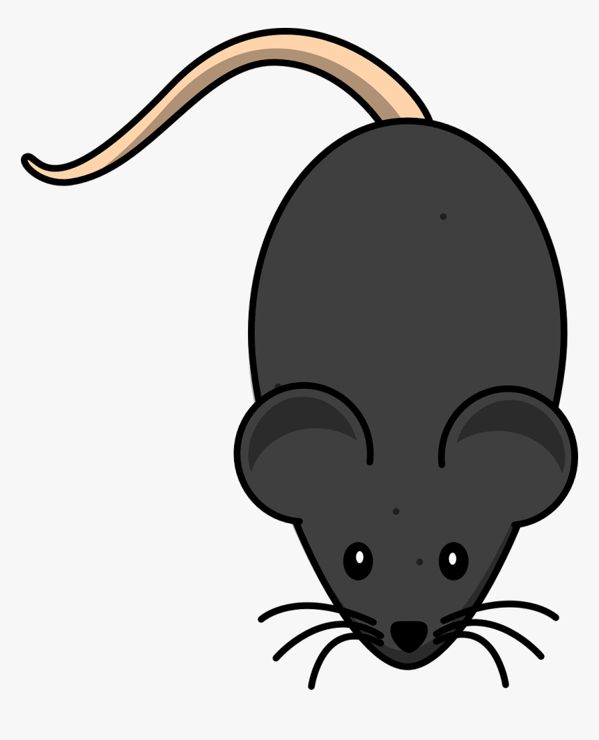Thumb Image - Mouse Clip Art, HD Png Download , Transparent Png Image ...