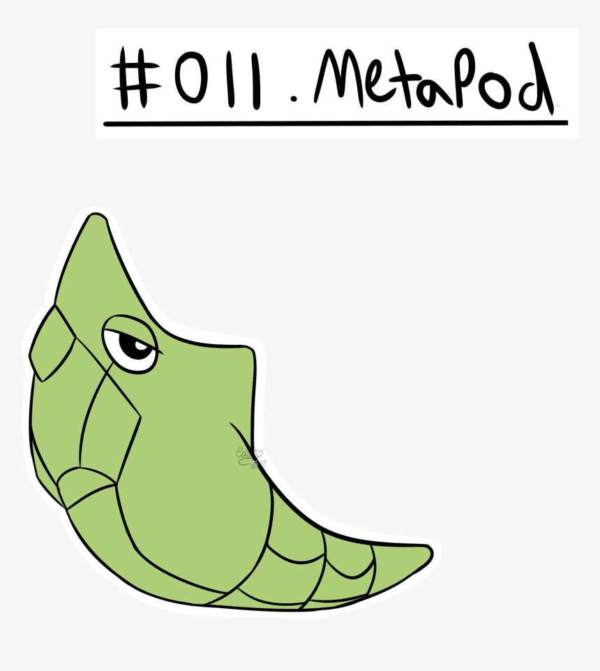 011 Metapod, HD Png Download , Transparent Png Image - PNGitem