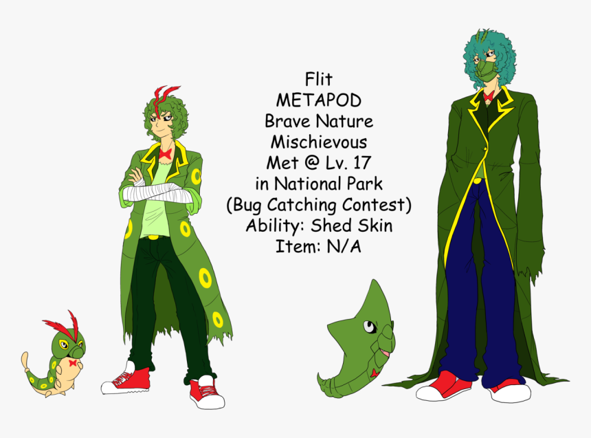 Metapod Png, Transparent Png , Transparent Png Image - PNGitem