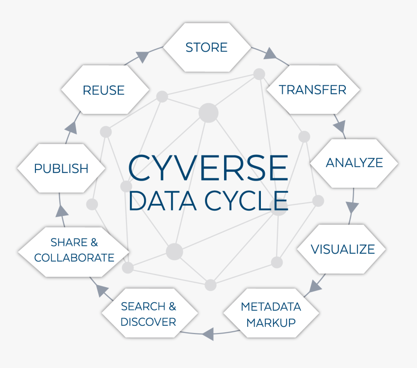 Data Cycle - Umbrella, HD Png Download , Transparent Png Image - PNGitem