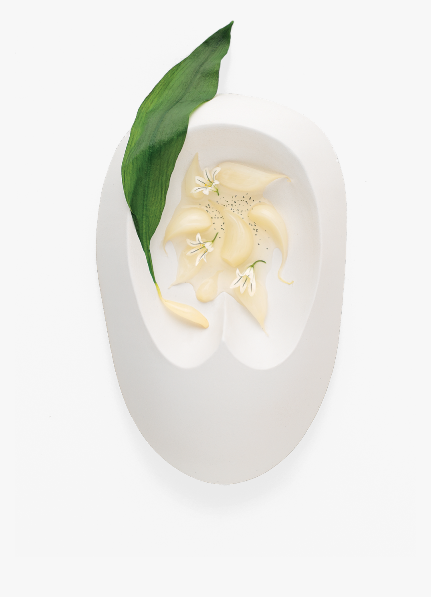 Portal Cake Png, Transparent Png , Transparent Png Image - PNGitem