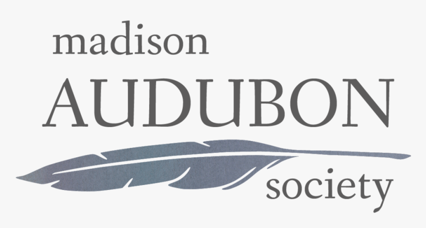 Mas-watercolorlogo - Calligraphy, HD Png Download , Transparent Png ...