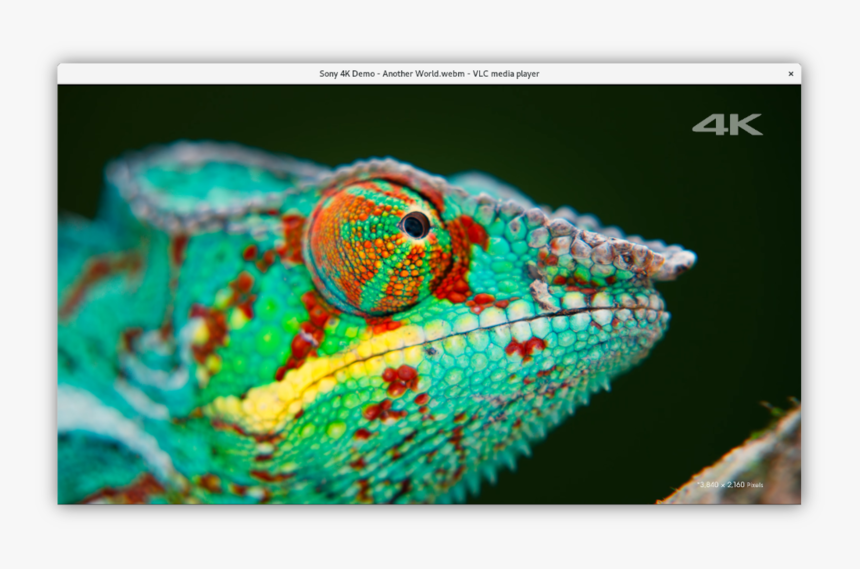 Sony Demo 4k, HD Png Download , Transparent Png Image - PNGitem