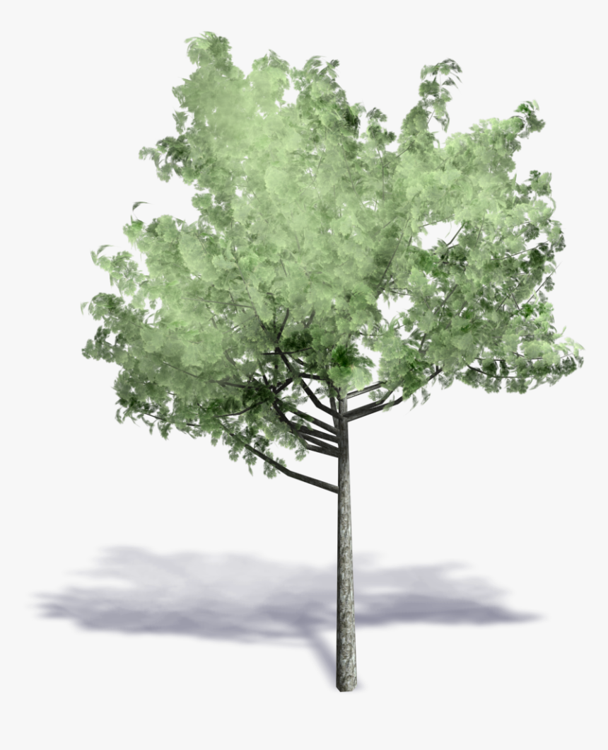 Axonometric Projection Autodesk Tree Archicad - Trees In Axonometric Png, Transparent Png ...