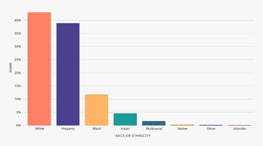 Bar Chart For Ethnicity, HD Png Download , Transparent Png Image - PNGitem