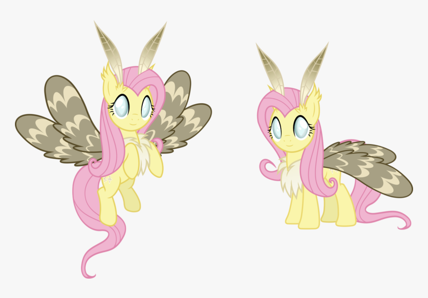Mlp Moth Pony, HD Png Download , Transparent Png Image - PNGitem