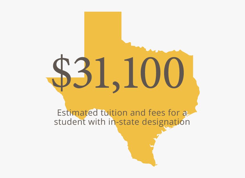 Tuition - Calligraphy, HD Png Download , Transparent Png Image - PNGitem