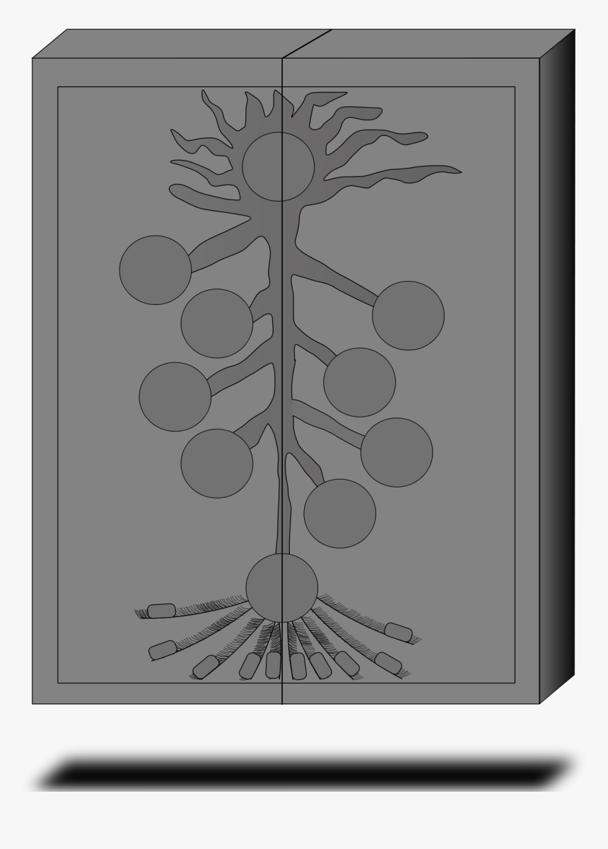 Full Metal Alchemist The Gate, HD Png Download , Transparent Png Image ...