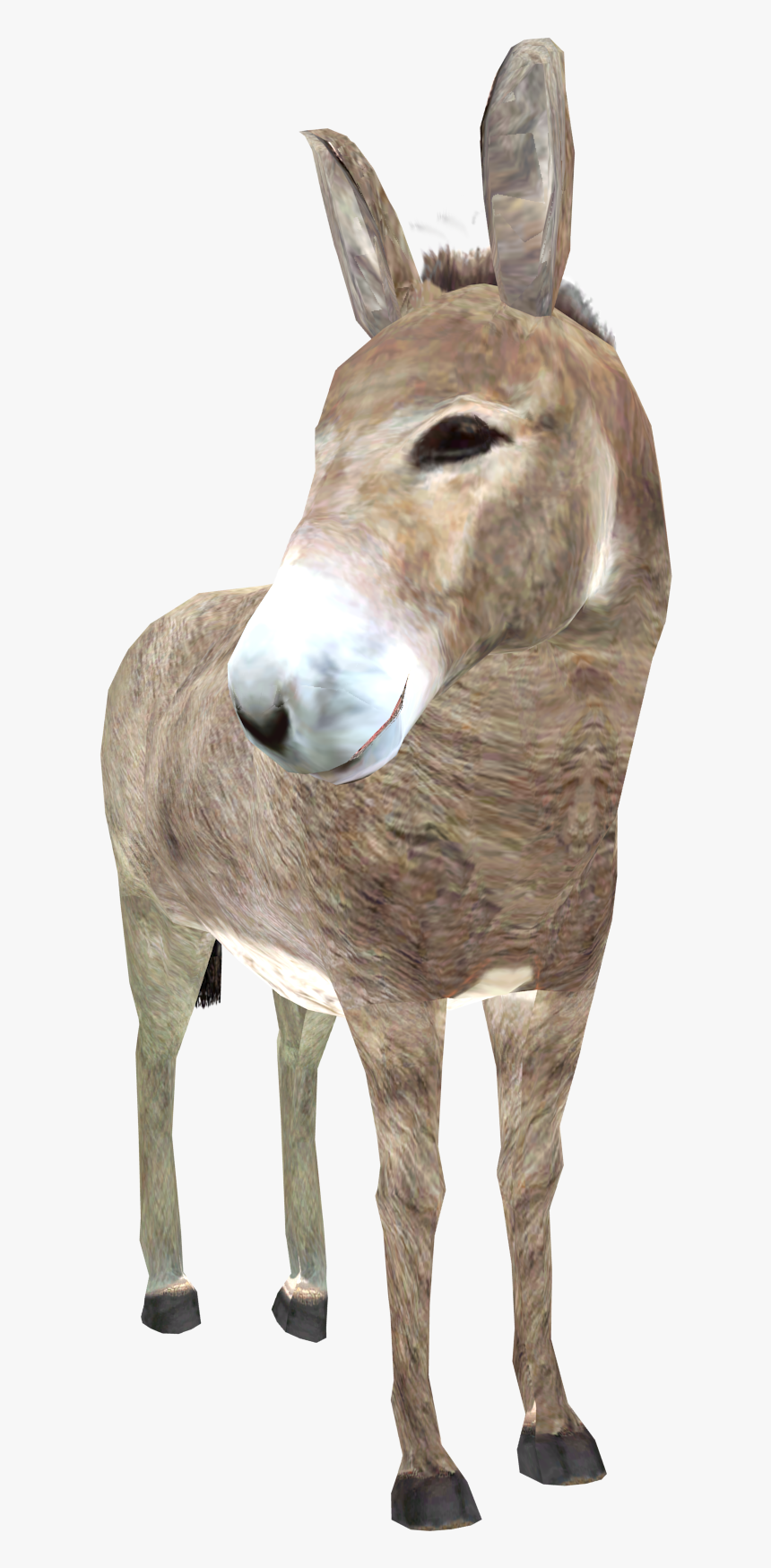Donkey Png High-quality Image - Donkey Png, Transparent Png ...