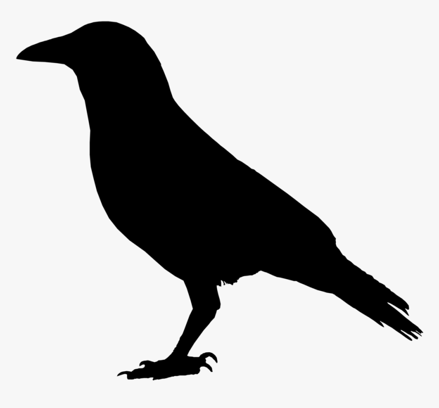 Primitive Crow Clipart Wikiclipart - Black Raven Clip Art, HD Png ...