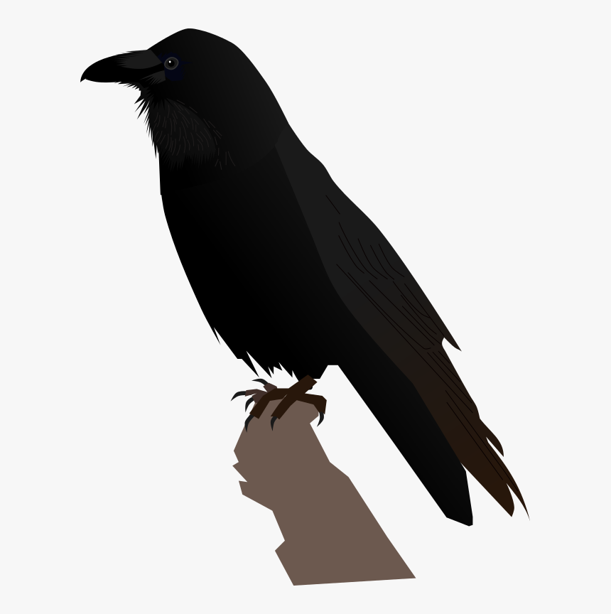 Common Raven Transparent Png - Portable Network Graphics, Png Download ...
