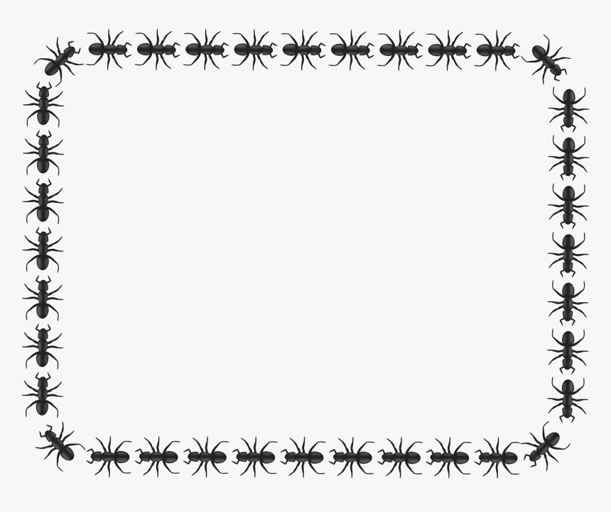 Rectangle Border Clipart - Ant Border, HD Png Download , Transparent ...