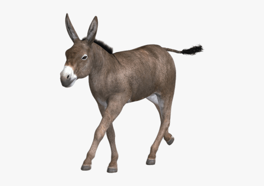 Running Mule - Cool Mule, HD Png Download , Transparent Png Image - PNGitem