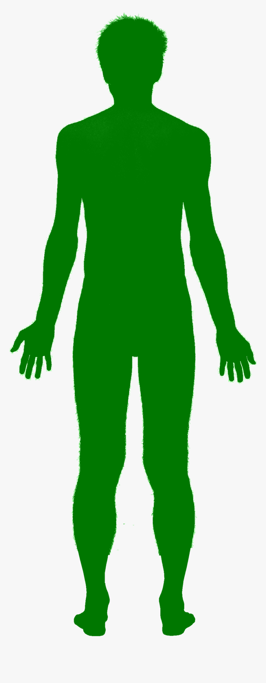 Green Man Shadow - Human Body Outline Green, HD Png Download ...