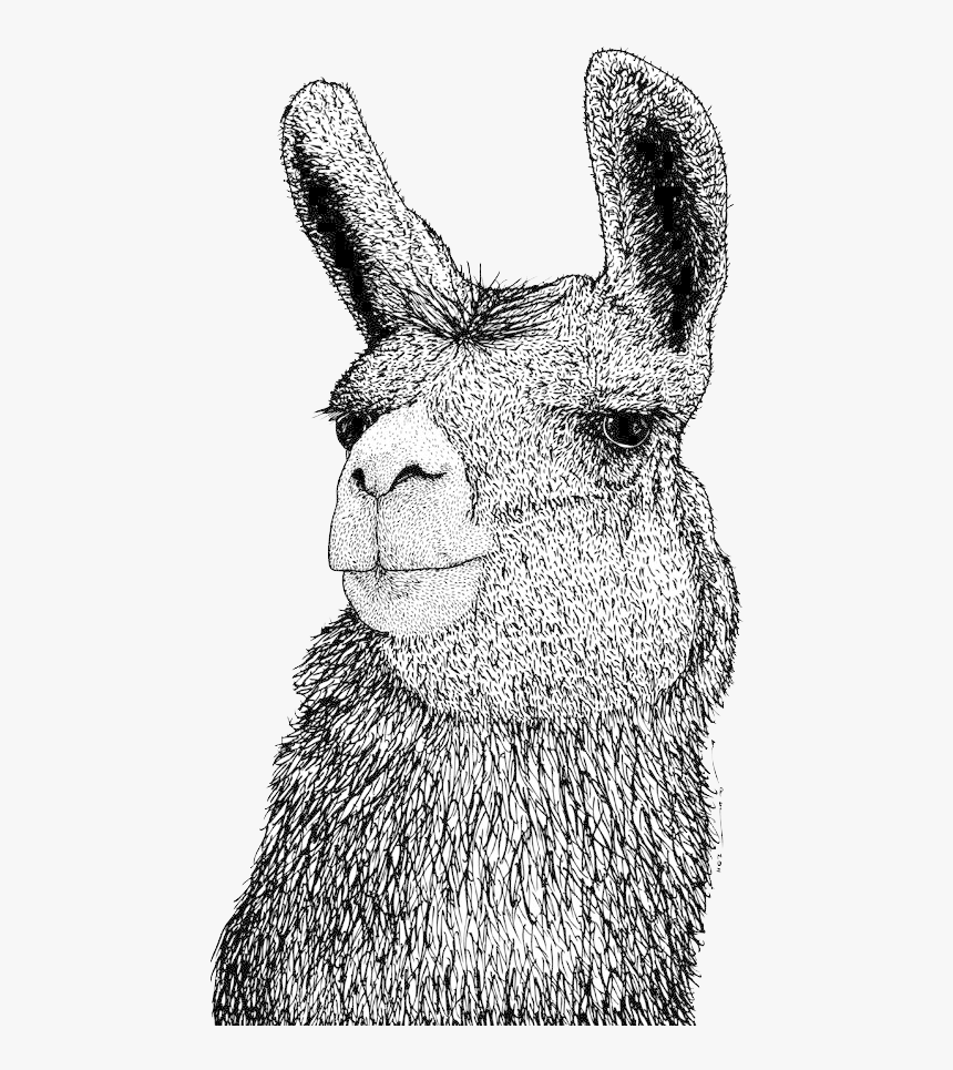 Thumb Image - One Color Screen Print, HD Png Download , Transparent Png ...