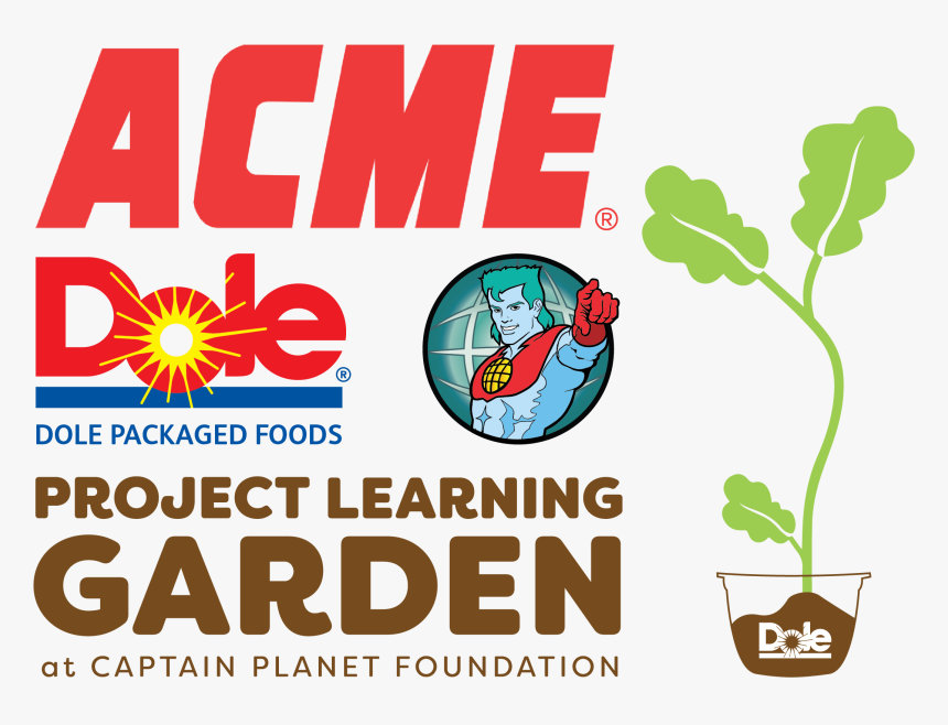 Acme, HD Png Download , Transparent Png Image - PNGitem