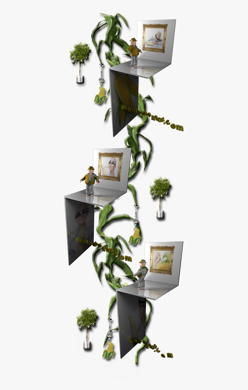 House, HD Png Download , Transparent Png Image - PNGitem