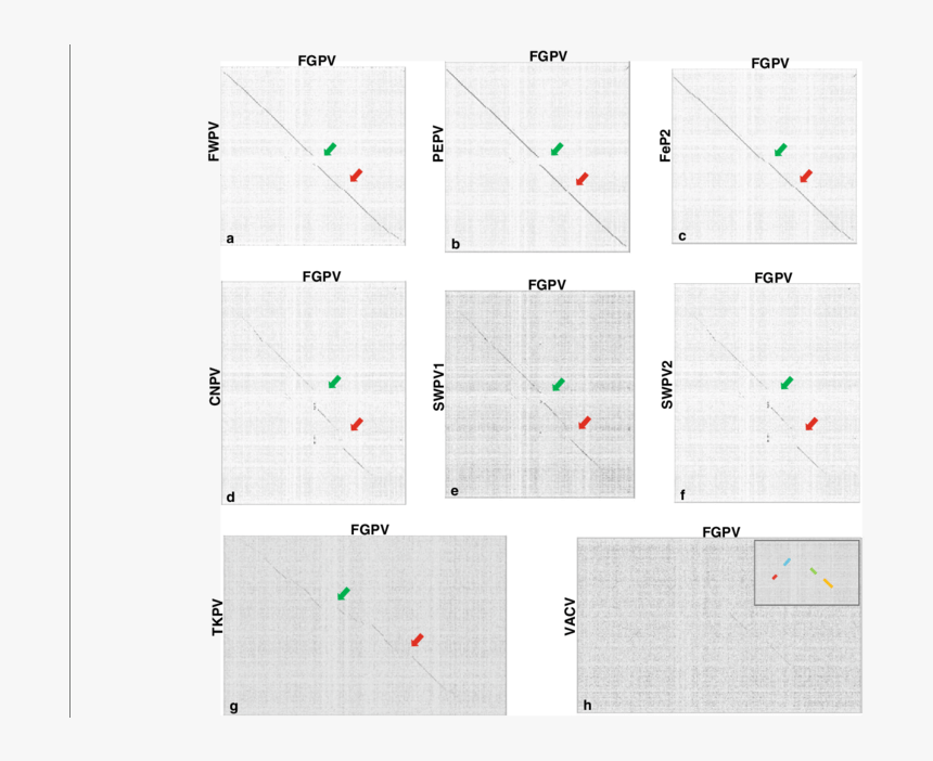 Diagram, HD Png Download , Transparent Png Image - PNGitem