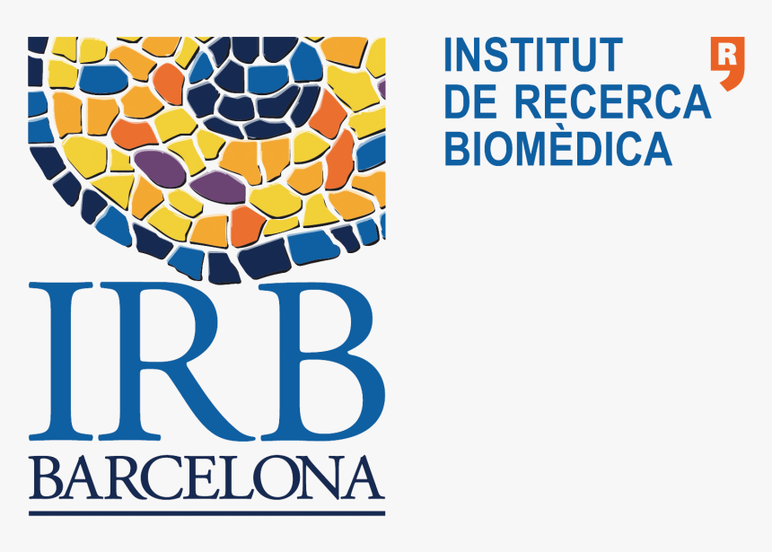 Irb - Irb Barcelona Logo, HD Png Download , Transparent Png Image - PNGitem