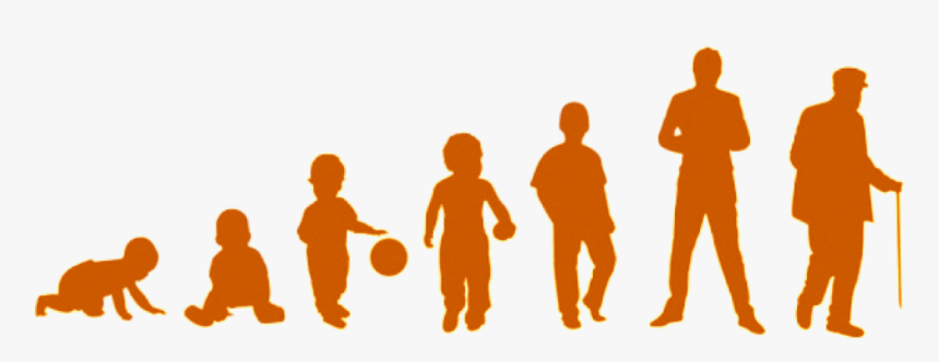 Human Circle Of Life