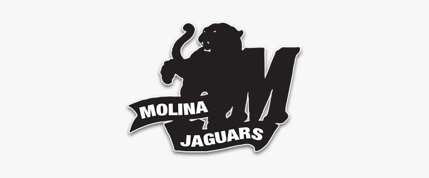 Molina Jaguars Football Data Srcset Https - Silhouette, HD Png Download ...