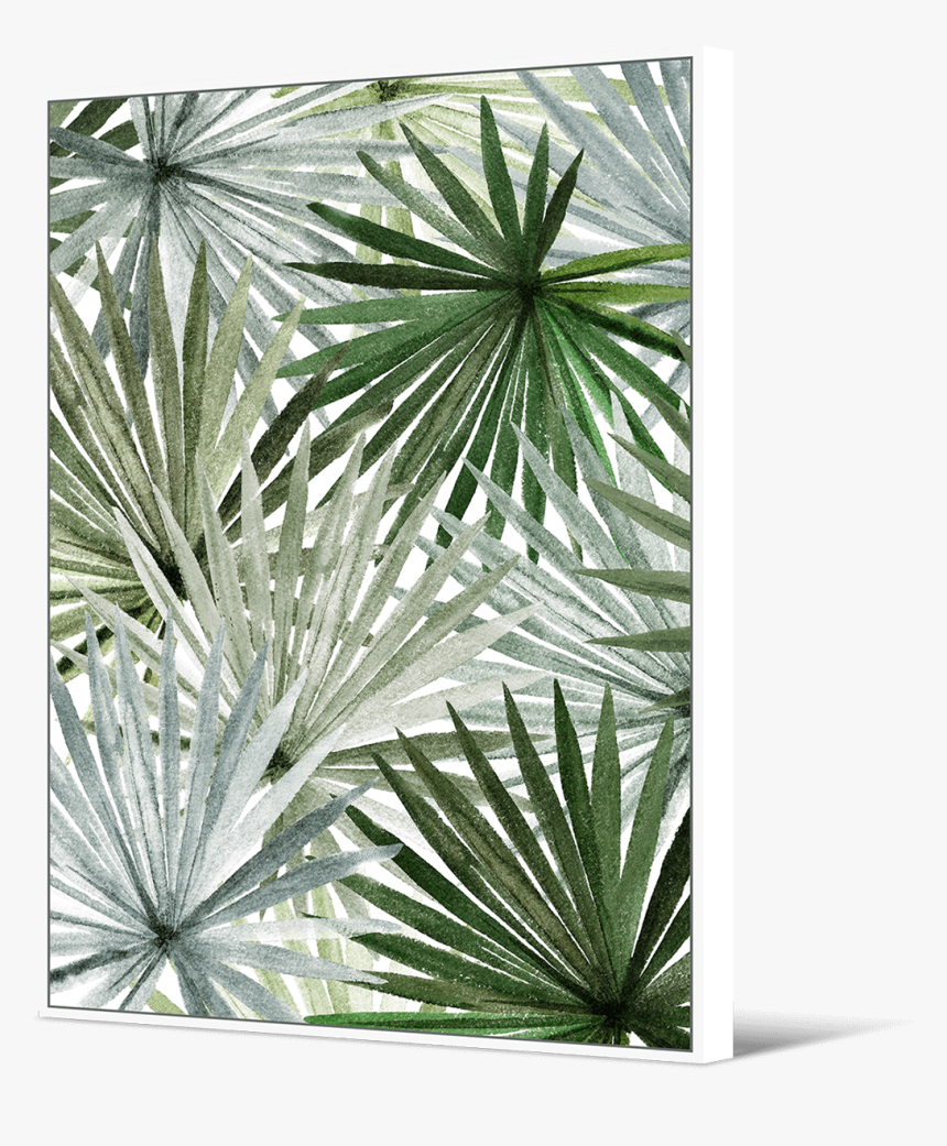 Sabal Minor , Png Download - Sabal Minor, Transparent Png , Transparent ...