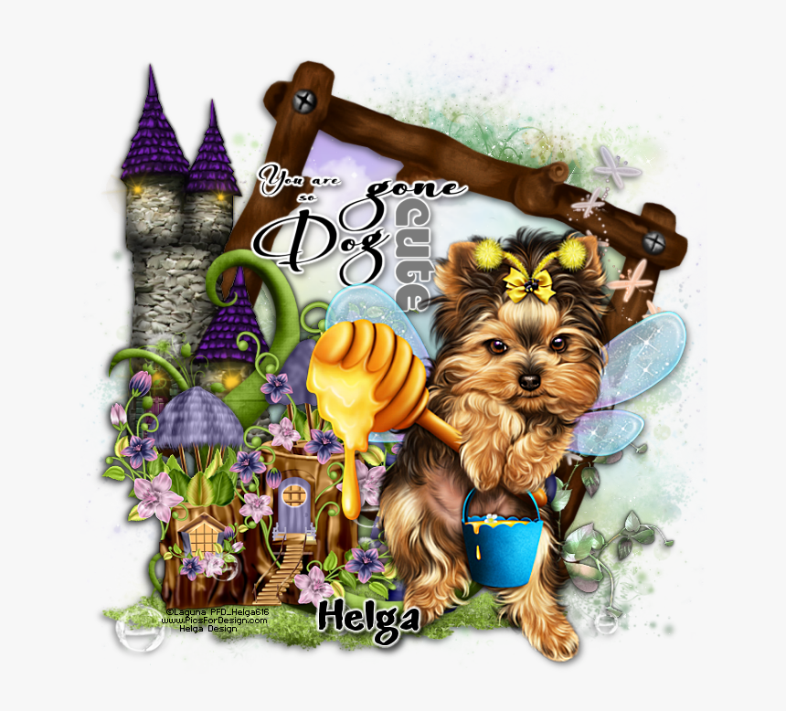 Yorkshire Terrier, HD Png Download , Transparent Png Image - PNGitem