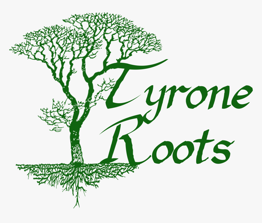 Tyrone Roots - Illustration, HD Png Download , Transparent Png Image ...