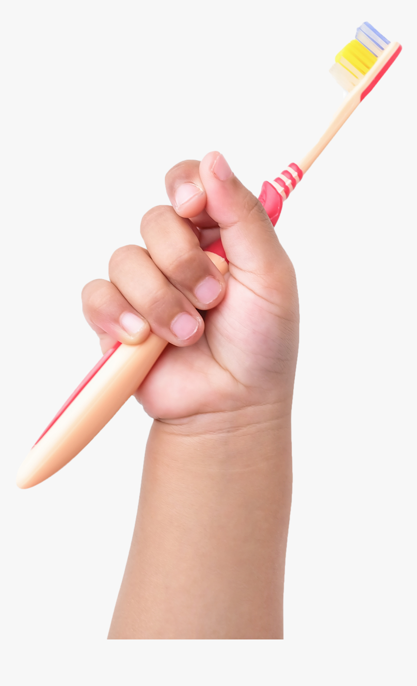 Child Hand Holding Toothbrush, HD Png Download , Transparent Png Image ...